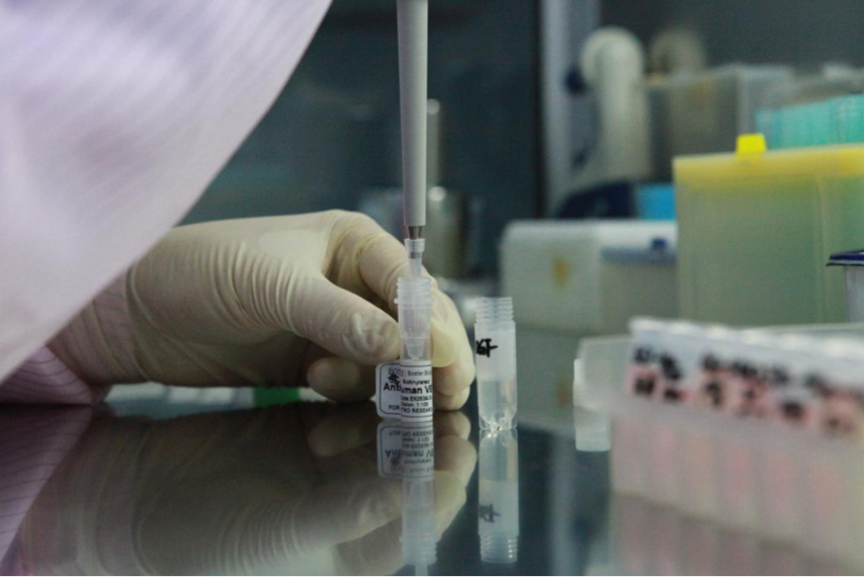 成功案例 – 天恩细胞软件cellsoft